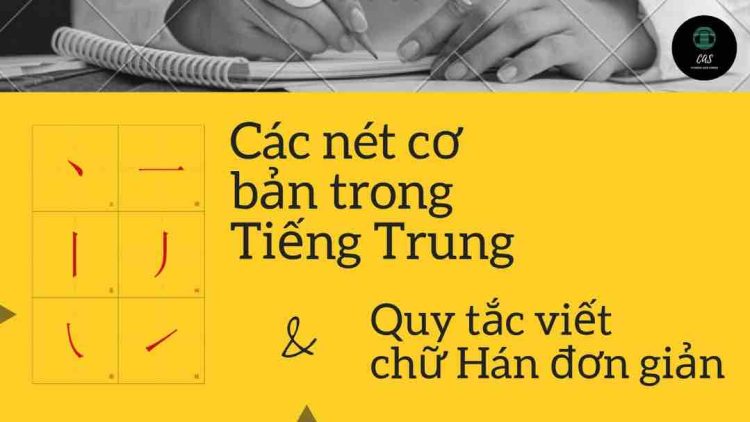 Các nét cơ bản trong tiếng Trung và những điều quan trọng
